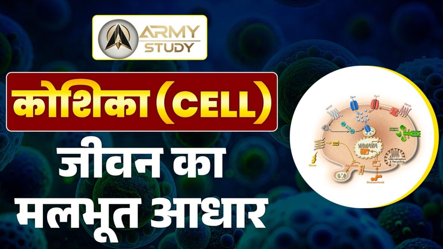 कोशिका (Cell): जीवन का मूलभूत आधार - Important Short Notes » Army Study